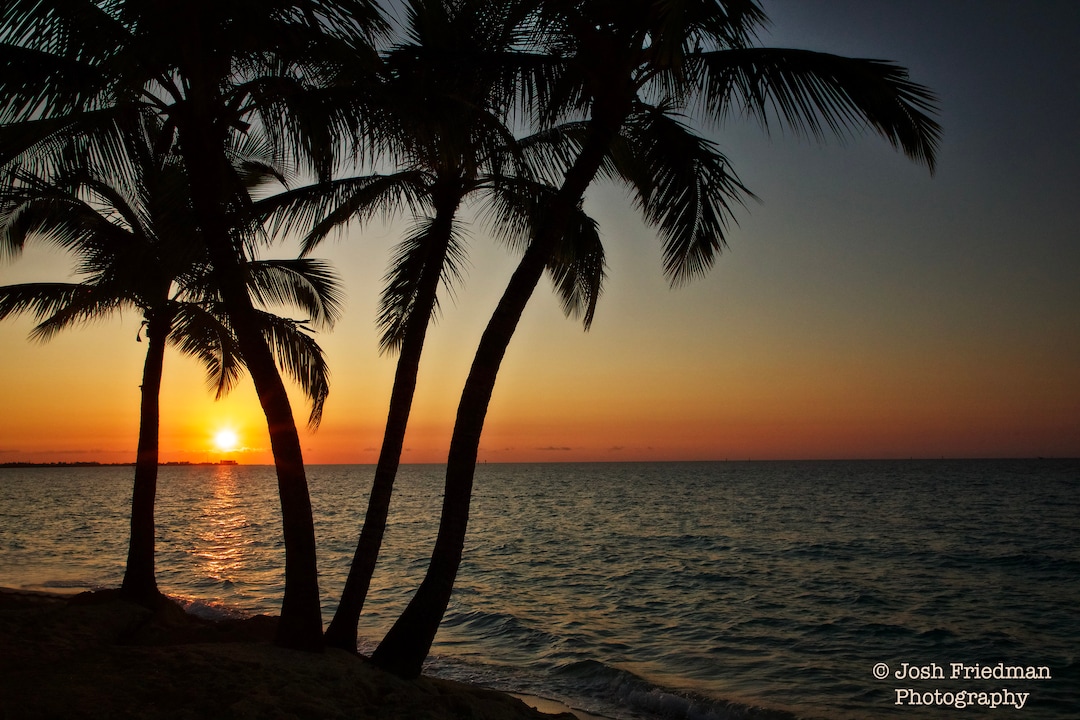 Bahamas Beach Palm Trees Sunrise Photograph Nassau Atlantic Ocean ...