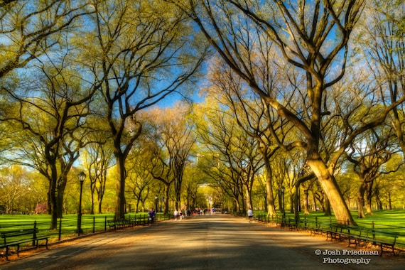 Beautiful Spring Morning