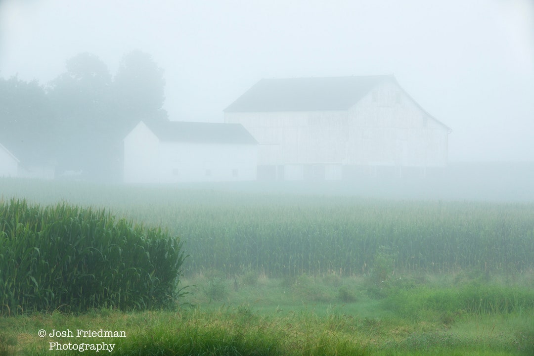 Patterson Farm Fog Photograph Corn Field Yardley Bucks County ...