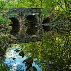Bowman's Hill Wildflower Preserve Bridge in Spring Landscape Photograph ...