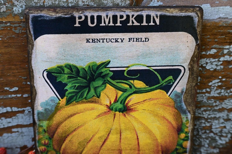 Rustic Pumpkin Seed Signs for Harvest Fall Decorating - Etsy