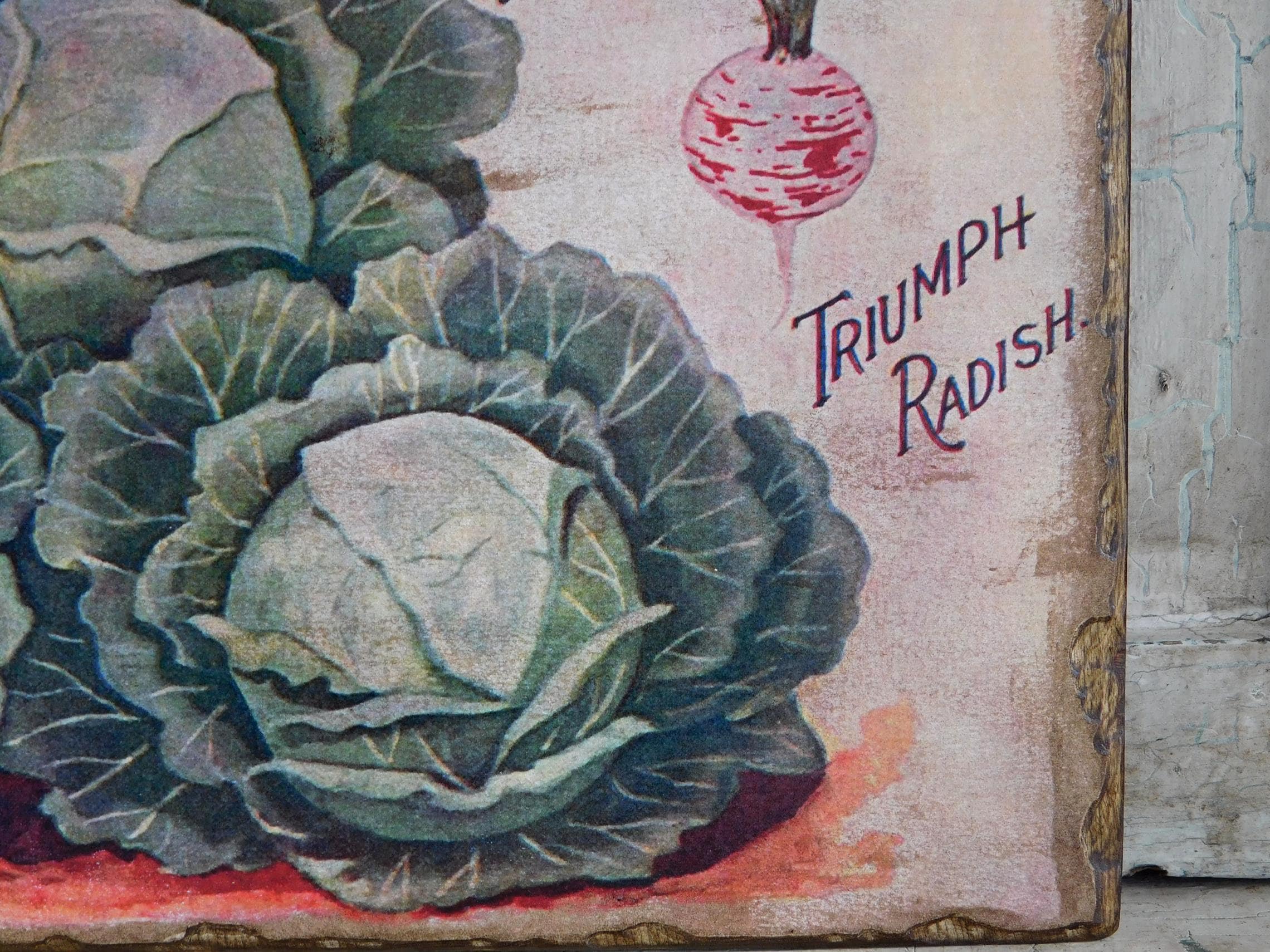 Primitive Garden Produce Vegetable Sign Vintage Cabbage and | Etsy