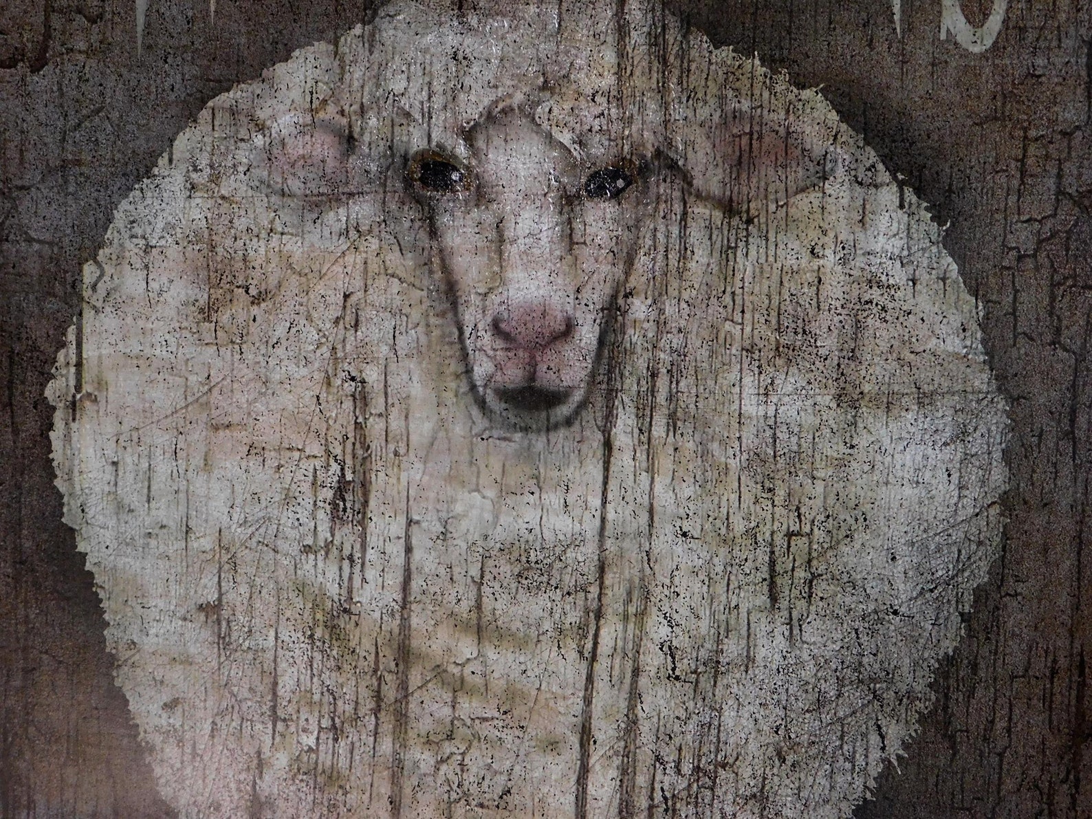 Primitive Woolen Sheep Wooden Sign | Etsy