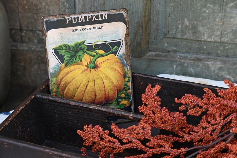 Rustic Pumpkin Seed Signs for Harvest Fall Decorating - Etsy