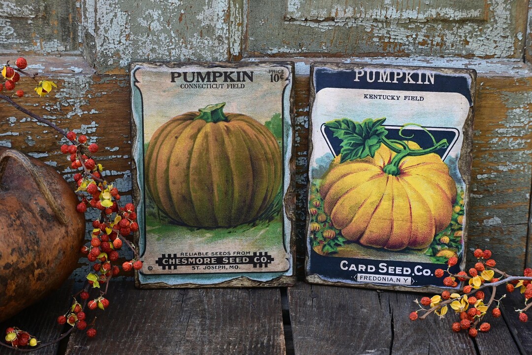 Rustic Pumpkin Seed Signs for Harvest Fall Decorating - Etsy
