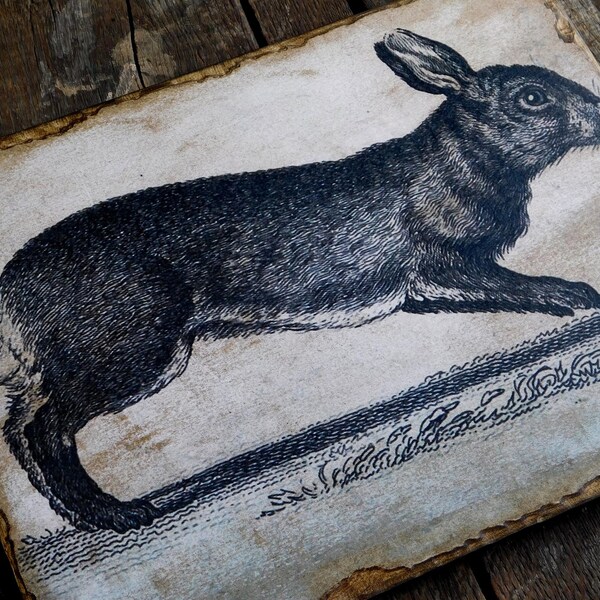 Primitive Rabbit - Etsy