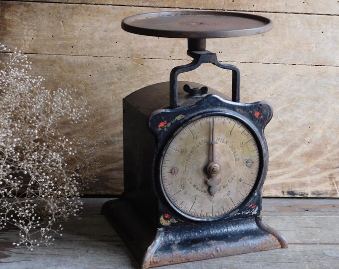 Antique Cast Iron Scale, Turnbull's Family Scale, Lander's Fray & Clark ...