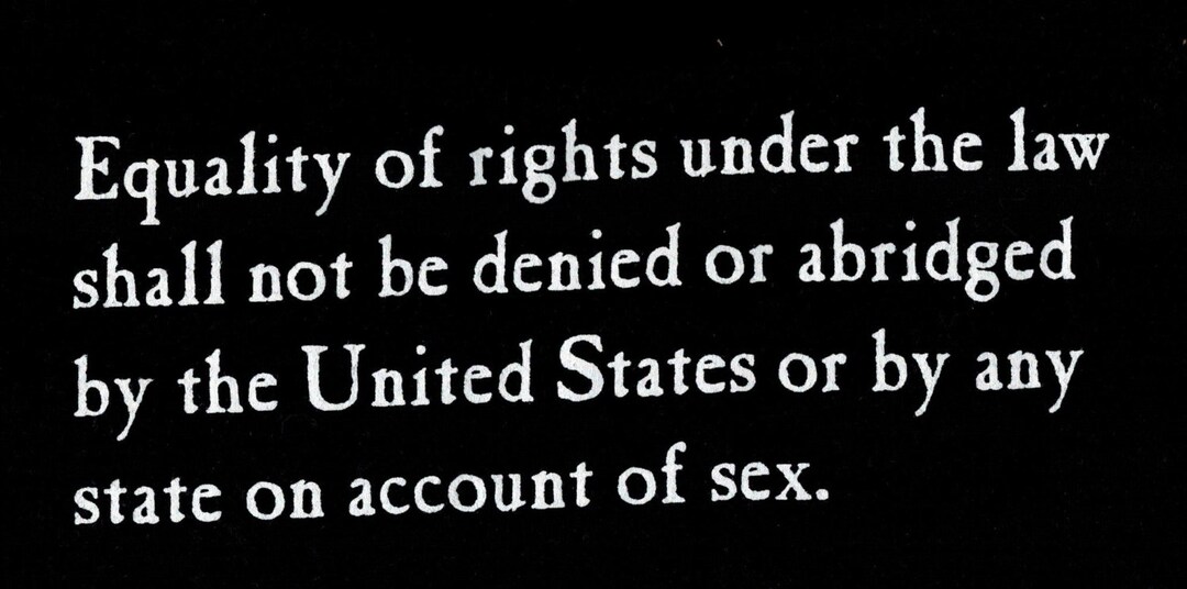 Equal Rights Amendment T-shirt White on Black; Women's Sizes - Etsy