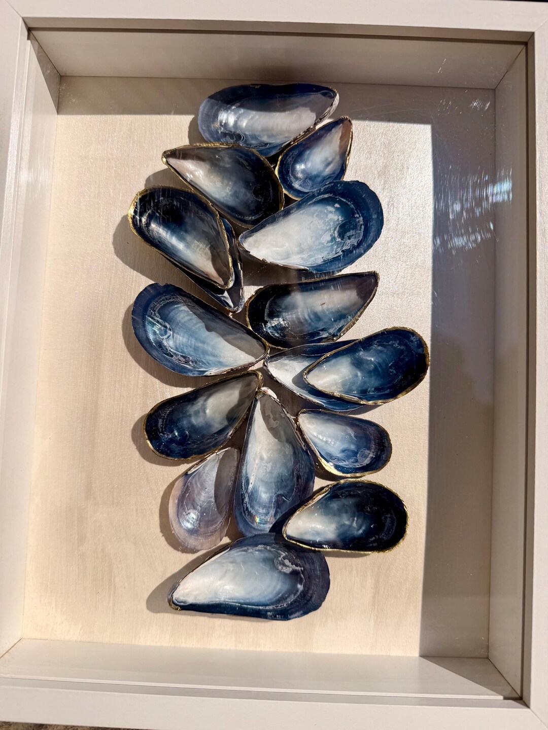 Custom Hand Crafted Shell Artwork: Mussel Shells With Gold 8x10 - Etsy