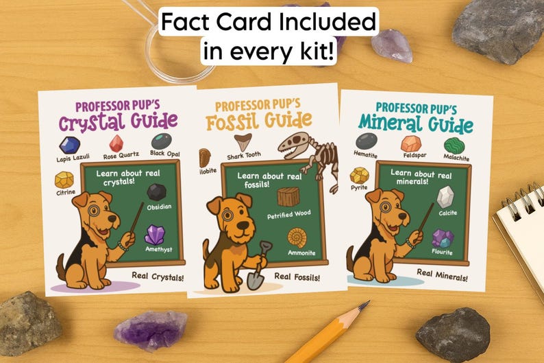 Fossil Discovery Kit for Kids – Real Fossils STEM Science Kit ...