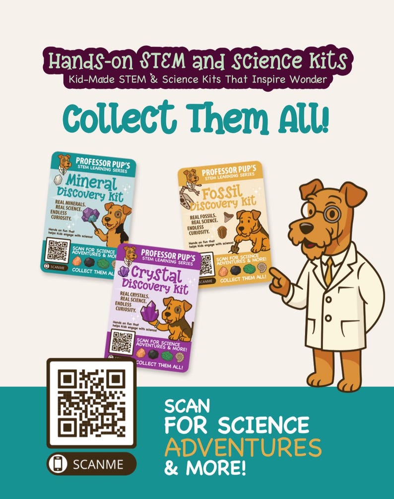 Fossil Discovery Kit: Real Fossils for Kids (STEM Learning ...