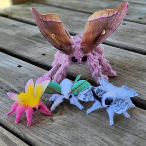 Mini Rosy Maple Moth, Butterfly Soft Sculpture, Ooak, Textile Taxidermy ...