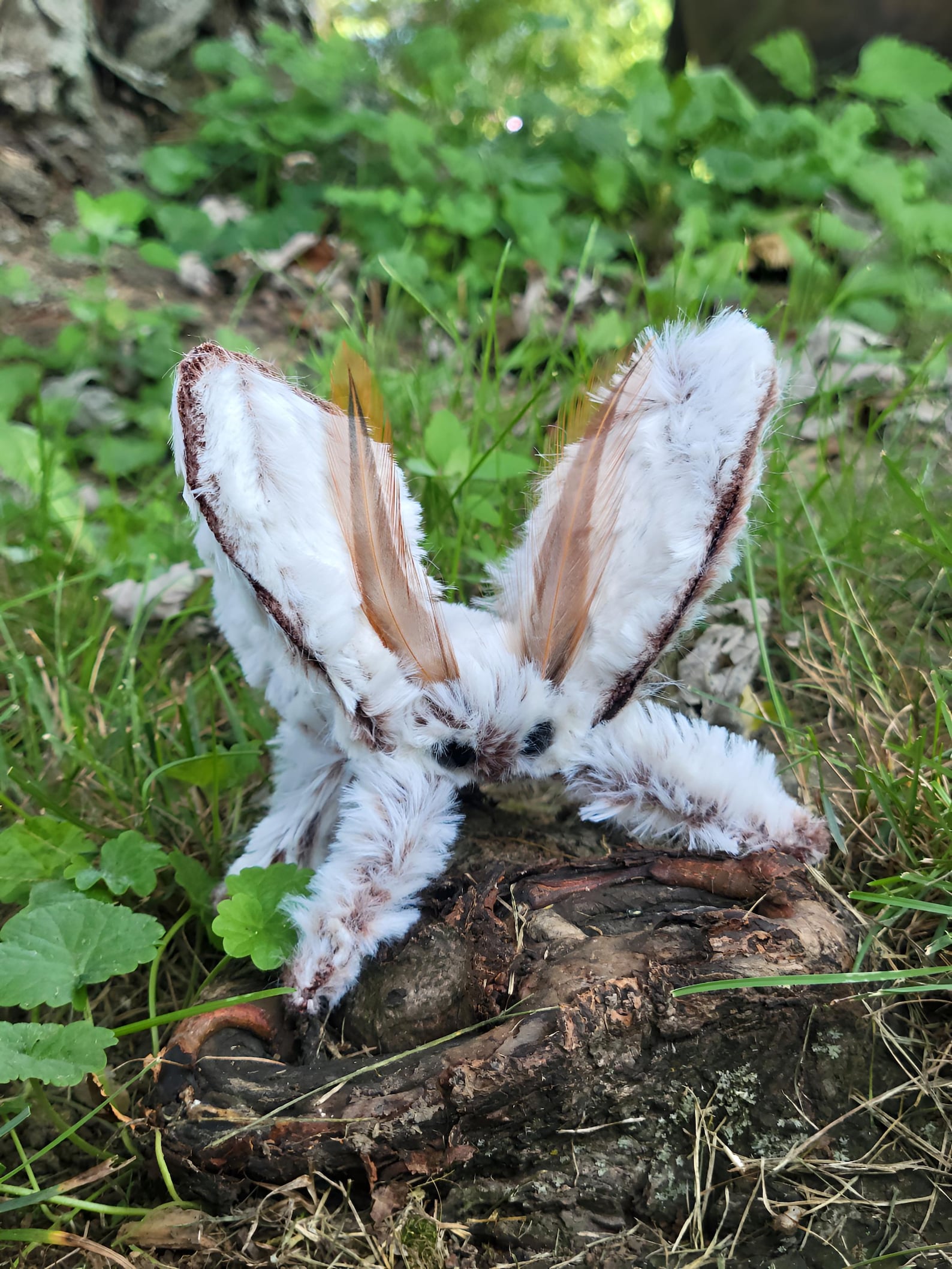 Poodle Moth Soft Sculpture, Faux Taxidermy, Plush, Textile Art, Ooak ...