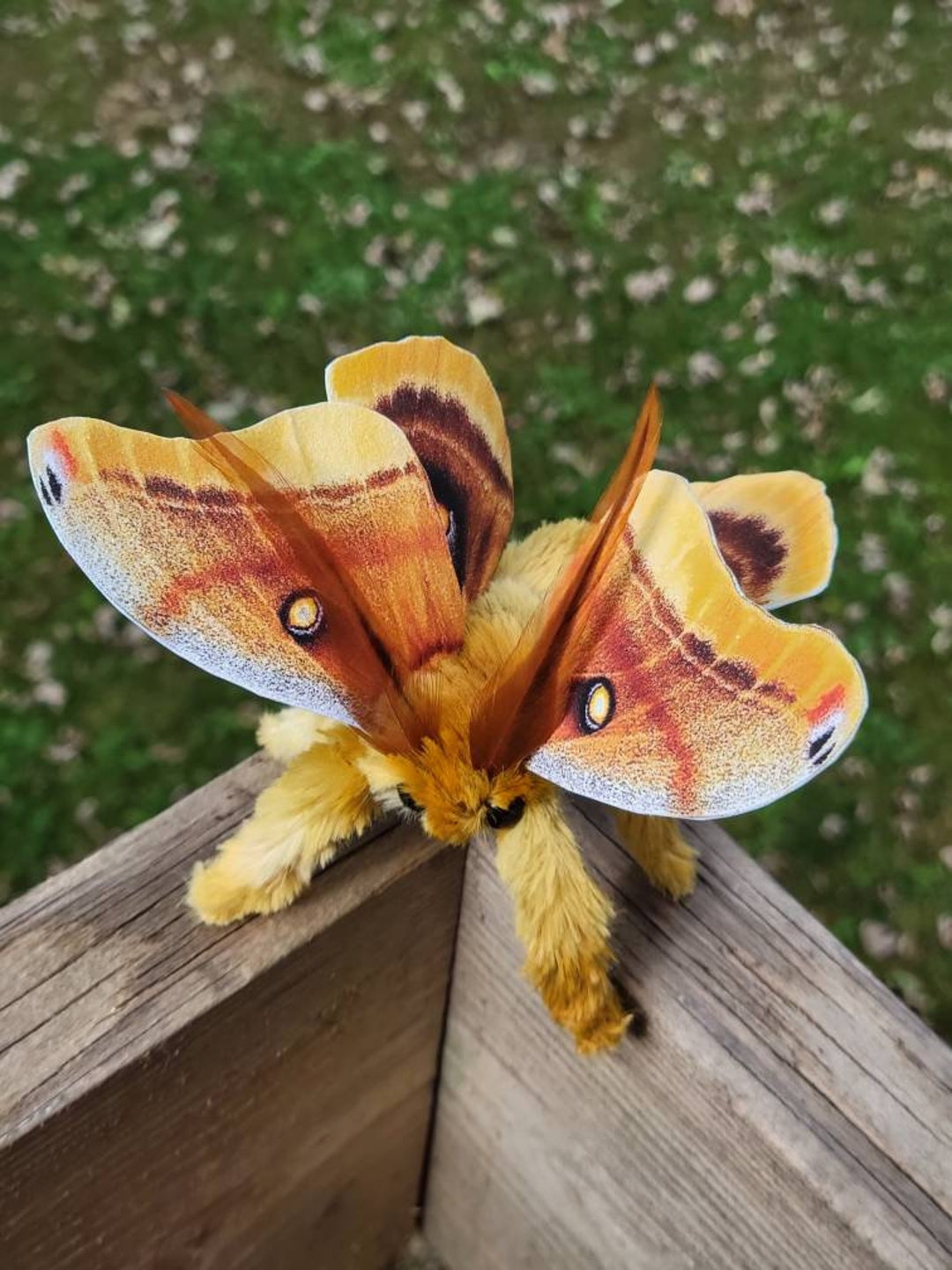 Honey Moth, Butterfly Textile Sculpture, Textile Art, OOAK, Soft ...