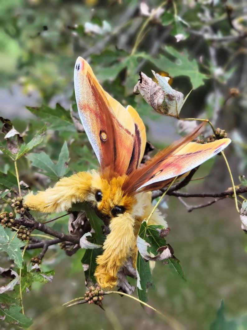 Honey Moth Butterfly Textile Sculpture Textile Art Textile - Etsy
