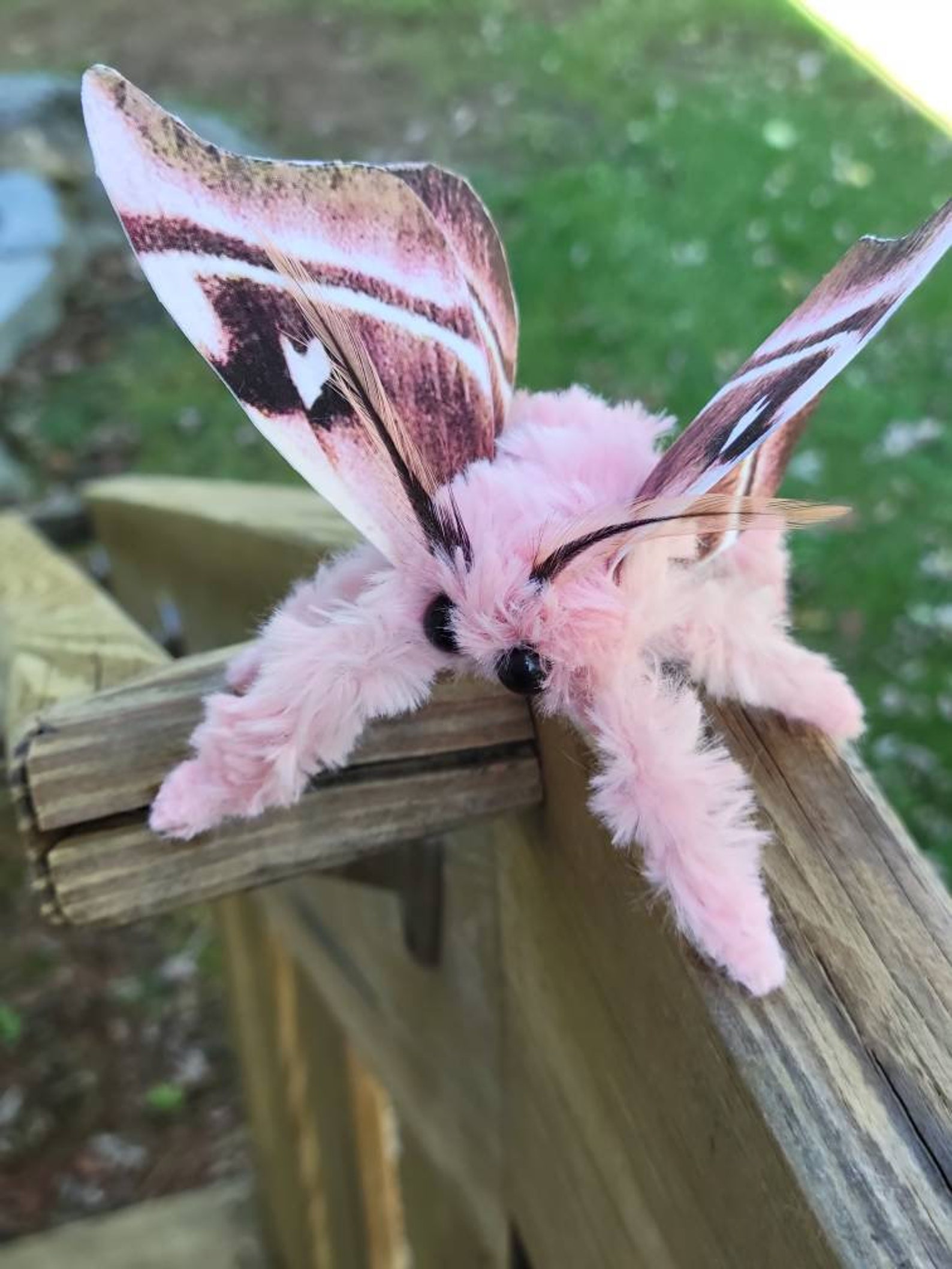 Pink Silk Moth Butterfly Soft Sculpture Ooak Textile - Etsy