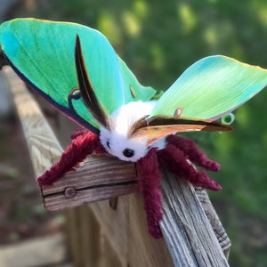Large Luna Moth Textile Taxidermy Soft Sculpture OOAK Doll - Etsy