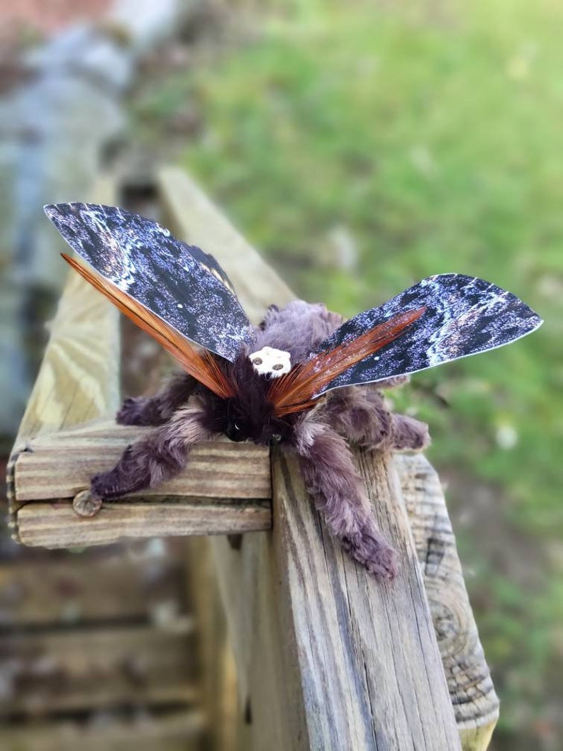 Death Head Moth Soft Sculpture Ooak Textile Taxidermy Faux - Etsy