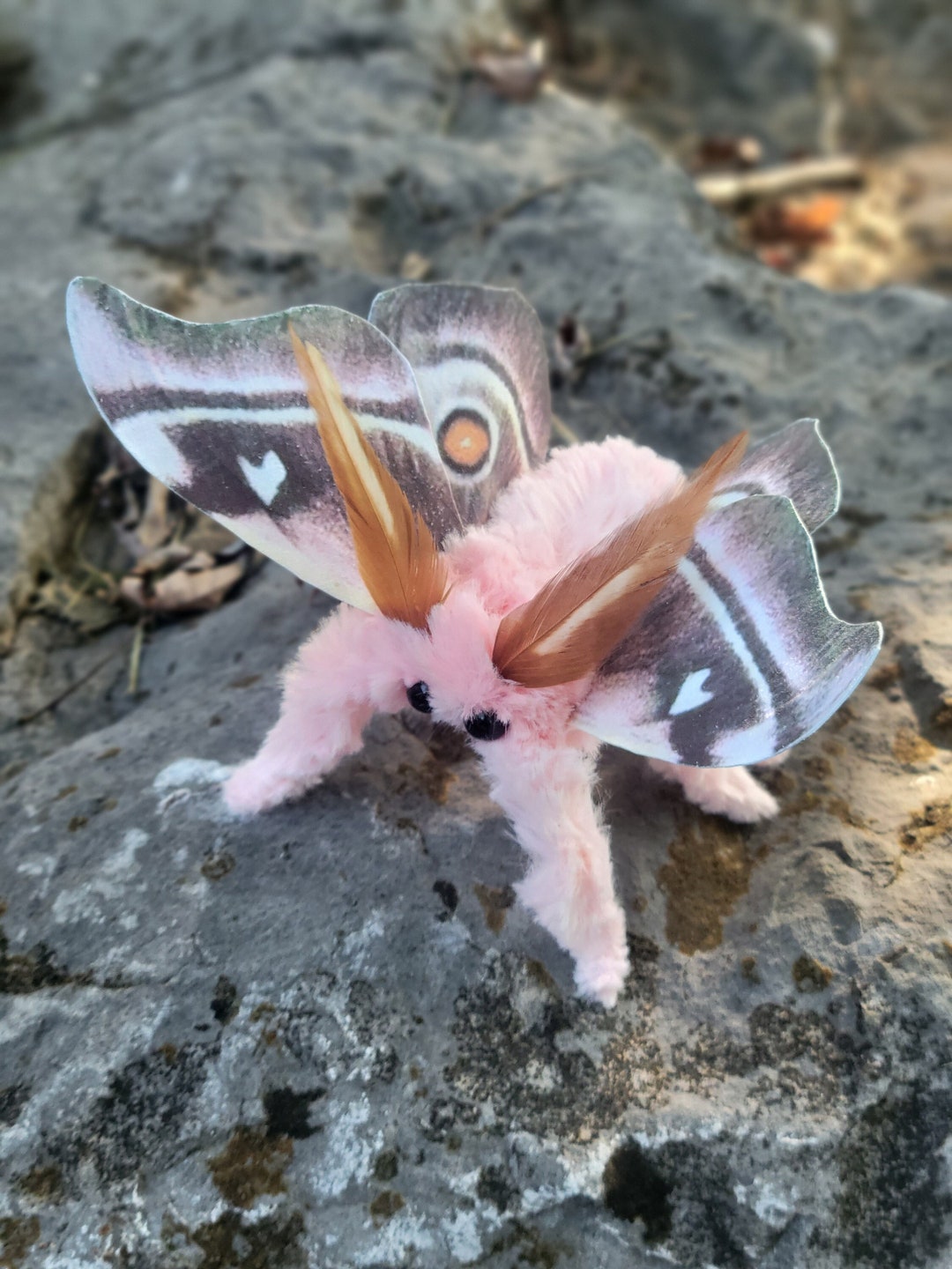 Pink Silk Moth, Butterfly Soft Sculpture, Ooak, Textile Taxidermy,doll ...
