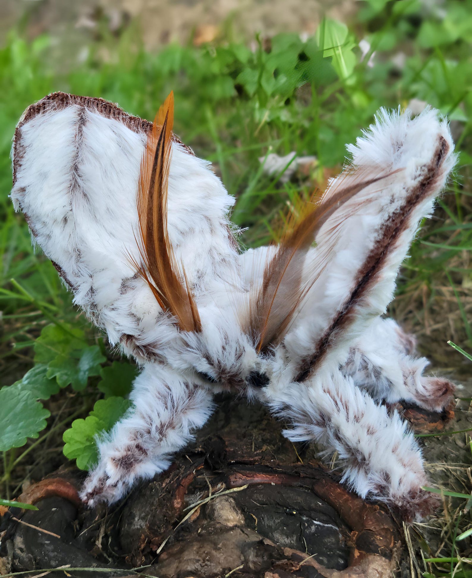 Poodle Moth Soft Sculpture, Faux Taxidermy, Plush, Textile Art, Ooak ...