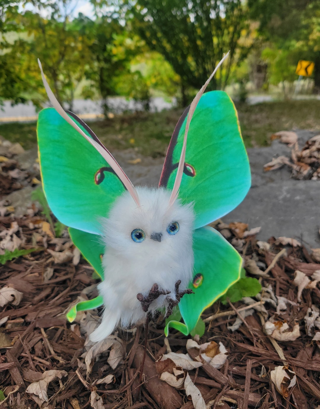 Luna Moth Owl Textile Sculpture Textile Taxidermy OOAK - Etsy