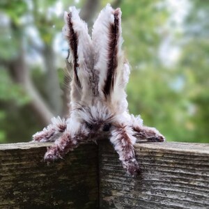 Poodle Moth Soft Sculpture, Faux Taxidermy, Plush, Textile Art, Ooak ...