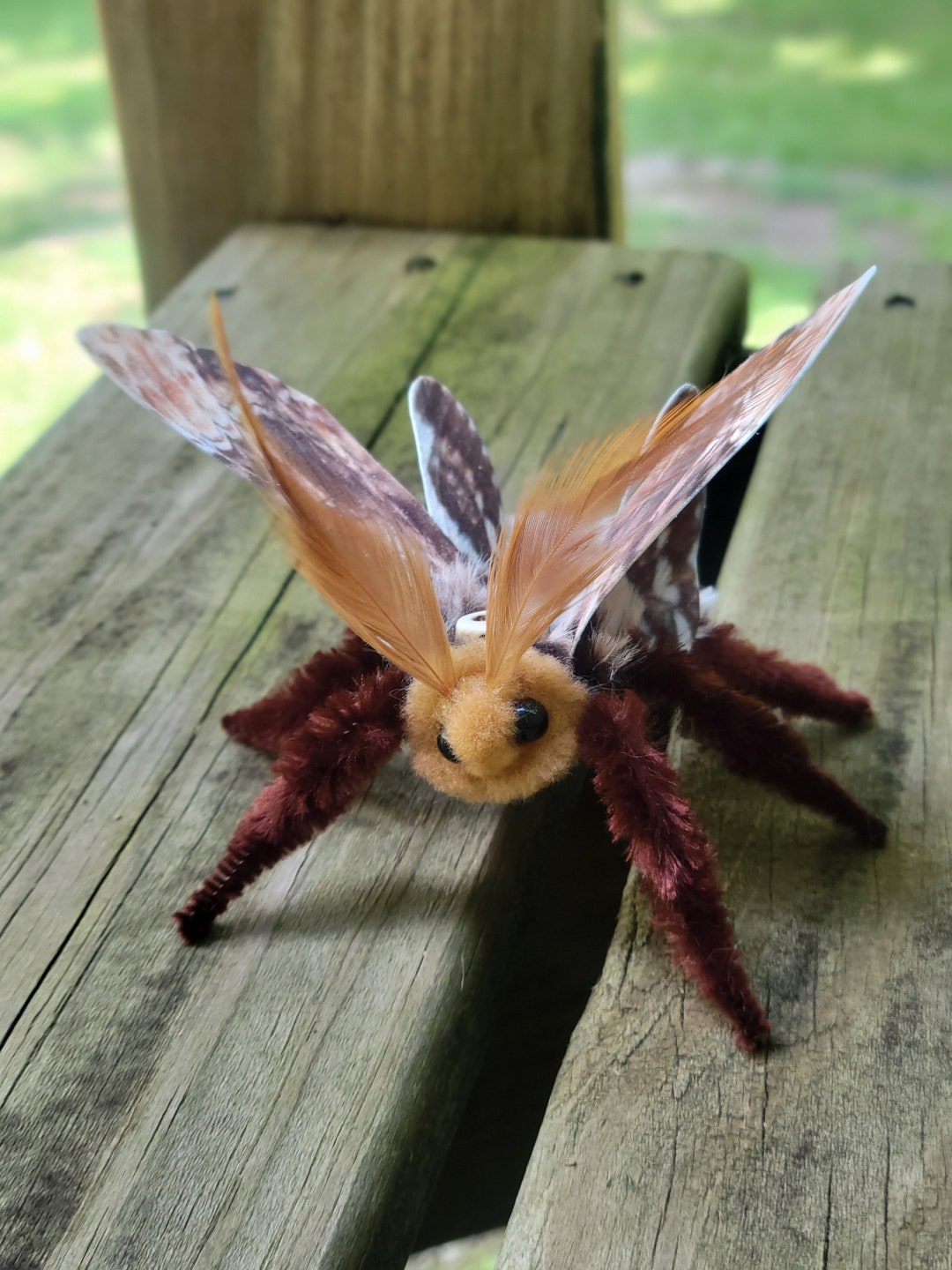 Albino Death Head Hawk Moth Soft Sculpture Textile Taxidermy - Etsy Canada