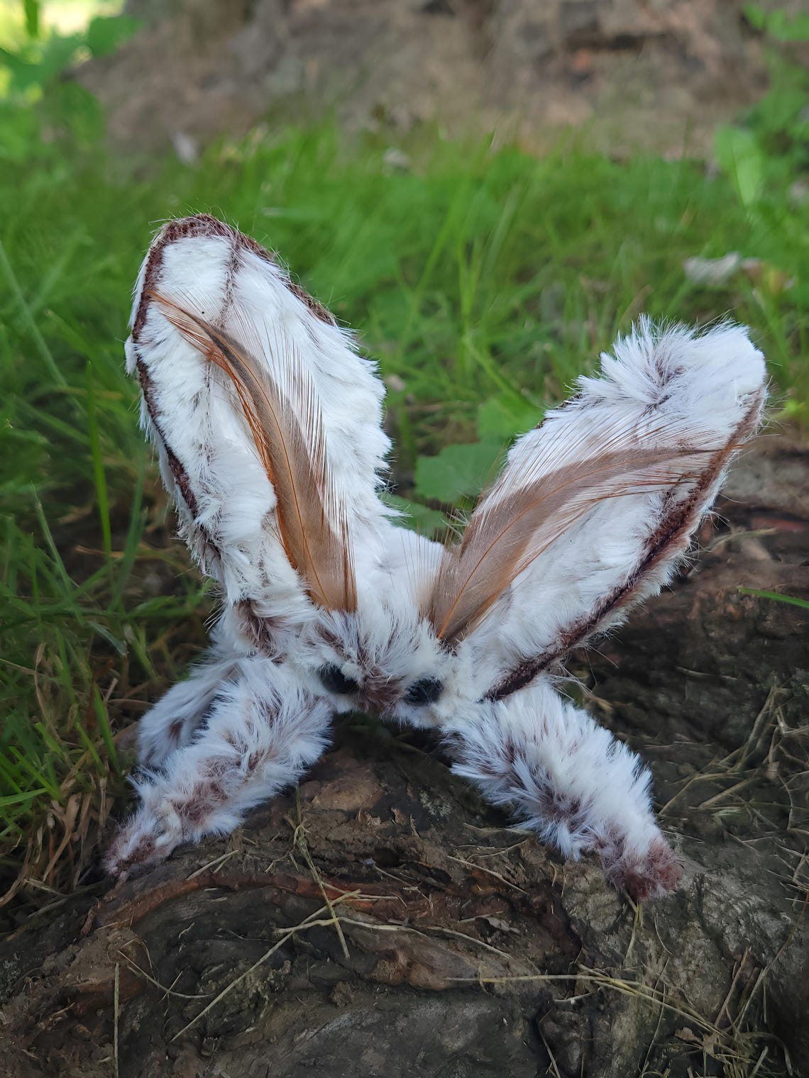 Poodle Moth Soft Sculpture, Faux Taxidermy, Plush, Textile Art, Ooak ...