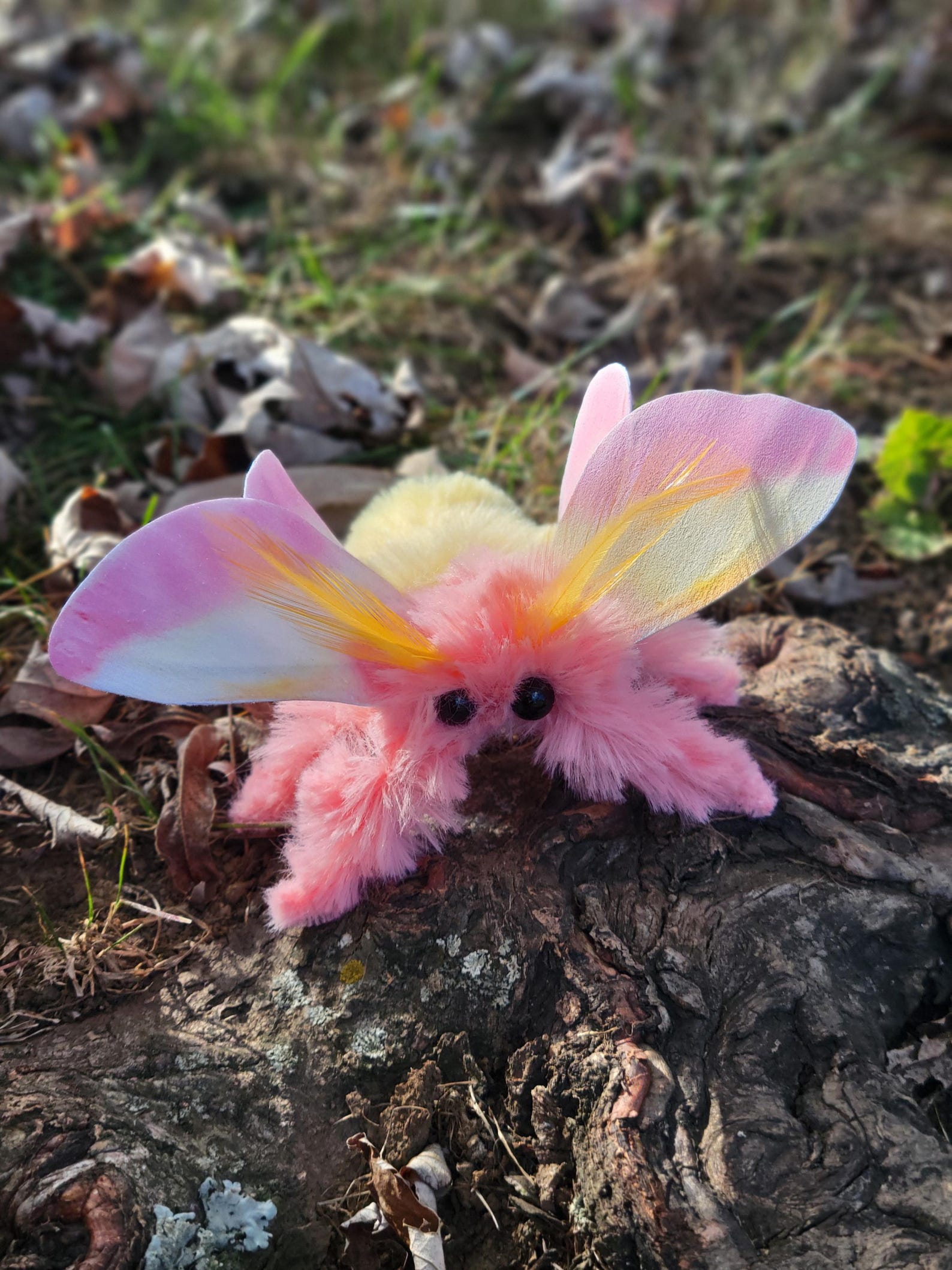 Rosy Maple Moth Plush Textile Sculpture, Entomology Gift, Insect Art - Etsy