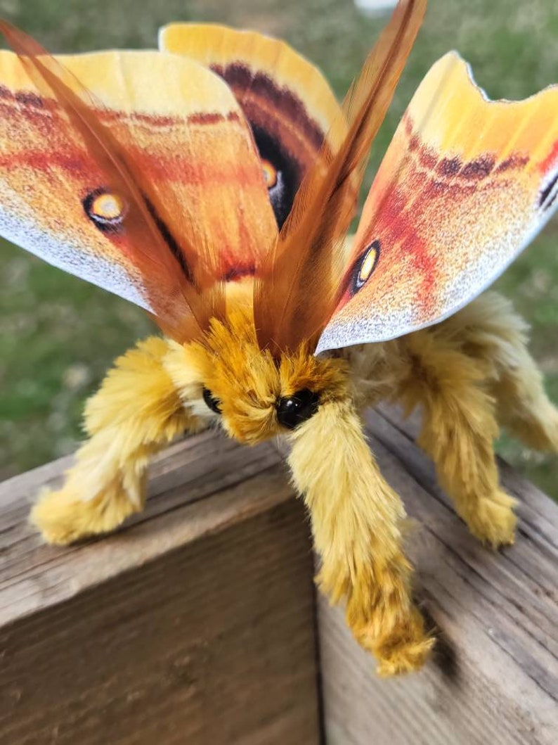 Honey Moth Butterfly Textile Sculpture Textile Art Textile - Etsy