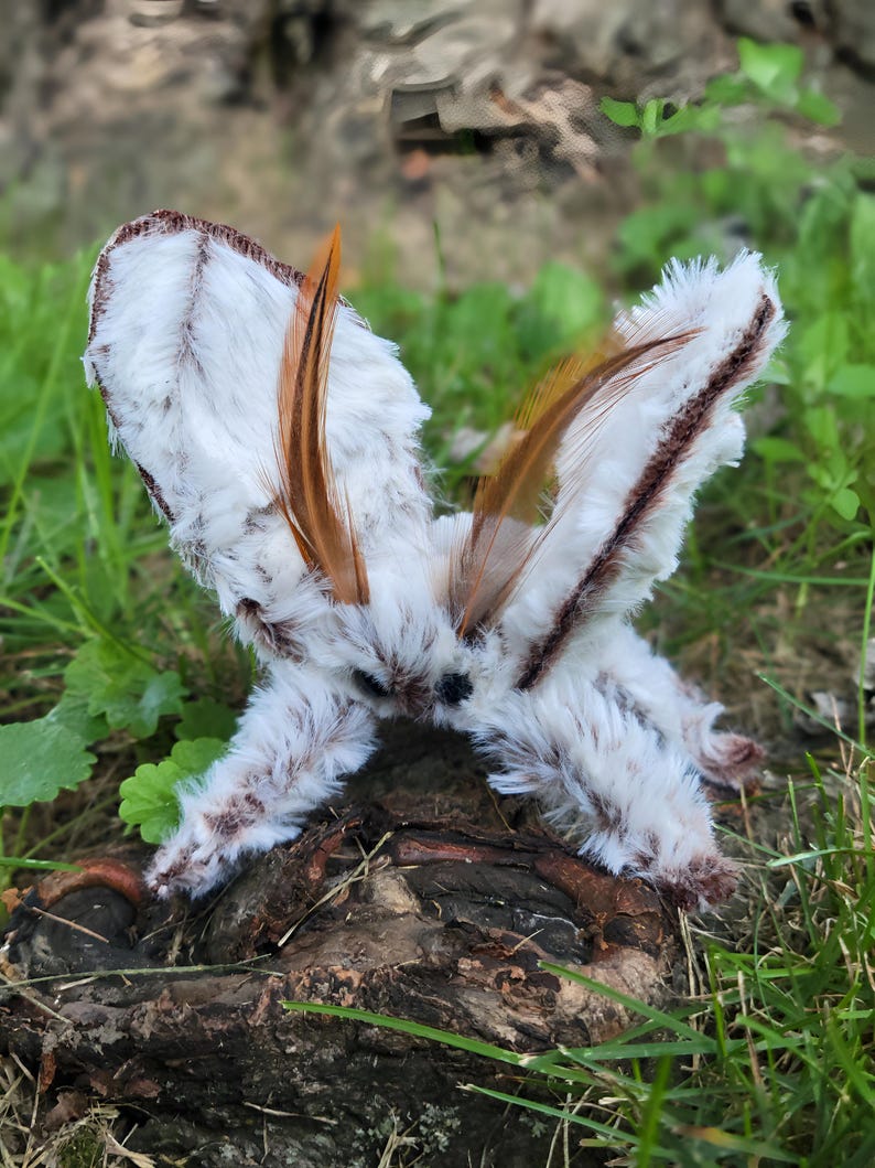 Poodle Moth Soft Sculpture, Faux Taxidermy, Plush, Textile Art, Ooak ...