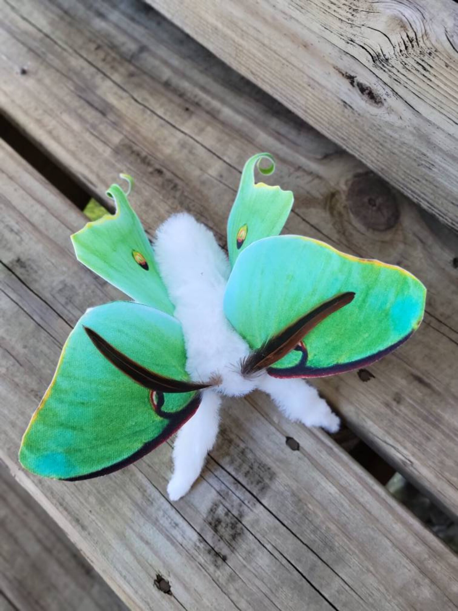 Large Luna Moth Textile Taxidermy Soft Sculpture OOAK Doll - Etsy