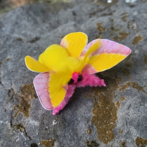 Mini Rosy Maple Moth, Butterfly Soft Sculpture, Ooak, Textile Taxidermy ...