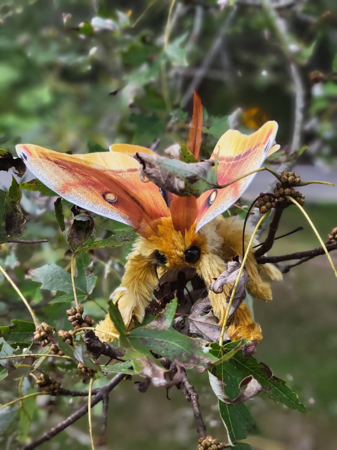 Honey Moth, Butterfly Textile Sculpture, Textile Art, OOAK, Soft ...