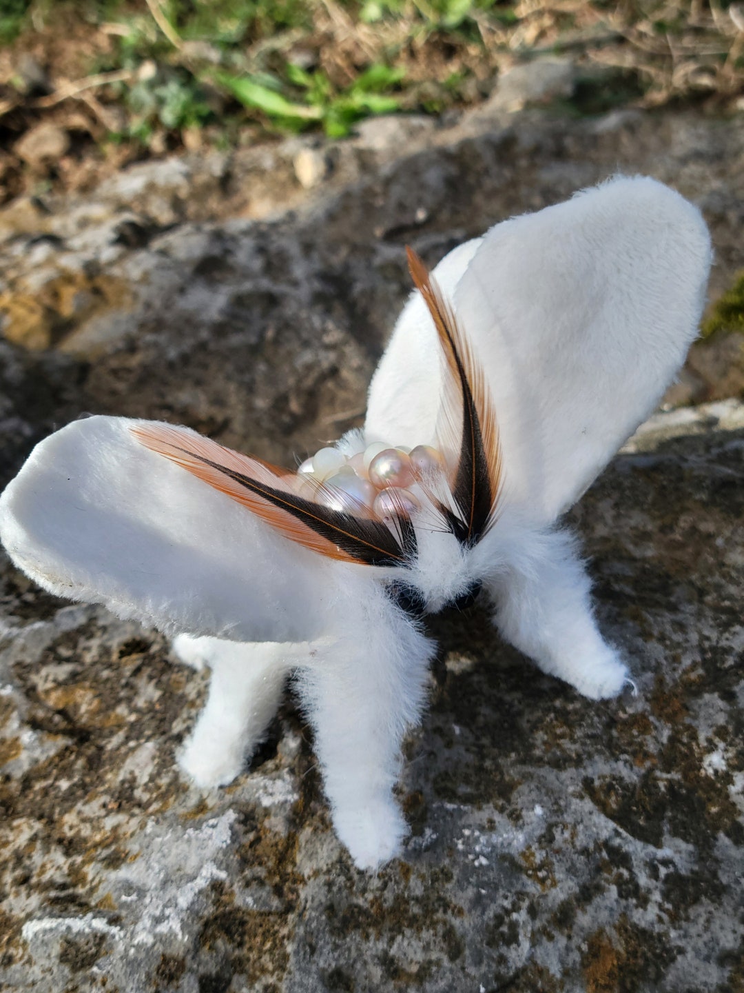 Poodle Moth Soft Sculpture, Faux Taxidermy, Plush, Textile Art, Ooak ...