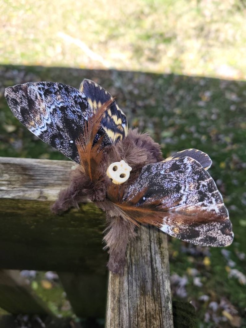 Death Head Moth Soft Sculpture, Ooak, Textile Taxidermy, Faux ...
