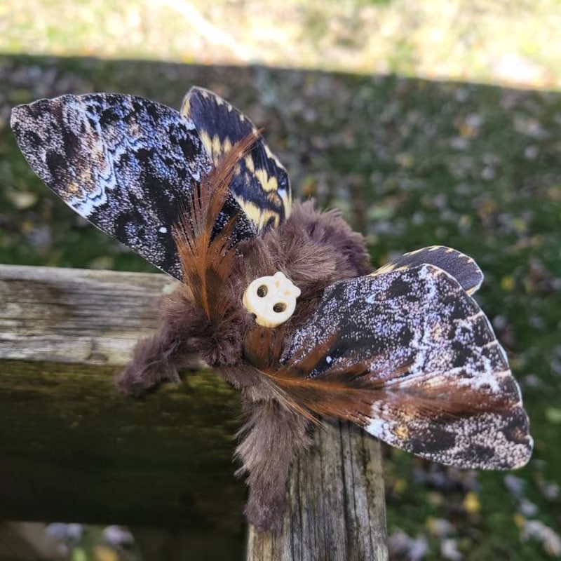 Moth Sculpture - Etsy