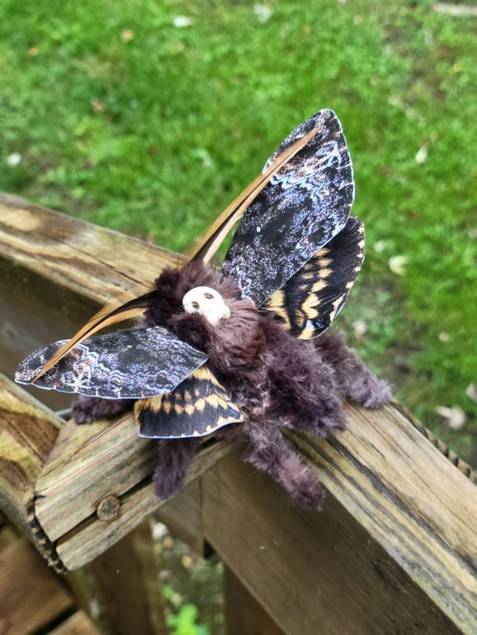 Death Head Moth Soft Sculpture, Ooak, Textile Taxidermy, Faux ...