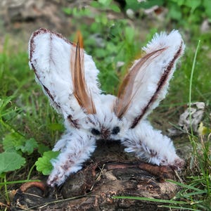 Poodle Moth Soft Sculpture, Faux Taxidermy, Plush, Textile Art, Ooak ...