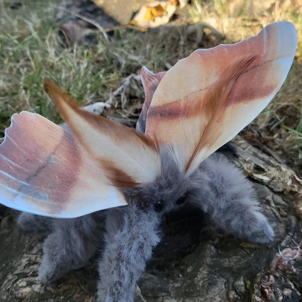 Moth Furry Art - Etsy