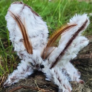 Poodle Moth Soft Sculpture, Faux Taxidermy, Plush, Textile Art, Ooak ...