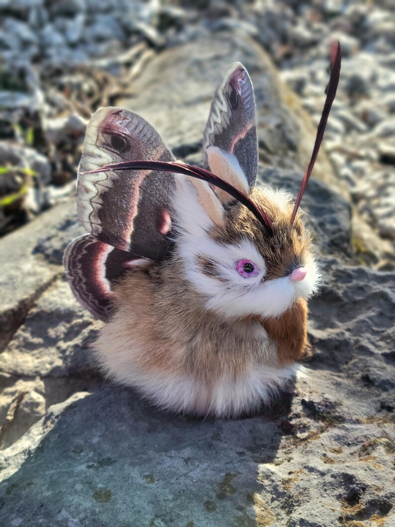 Cepcropia Moth Bunny Textile Sculpture, Ooak, Ornament, Gift - Etsy