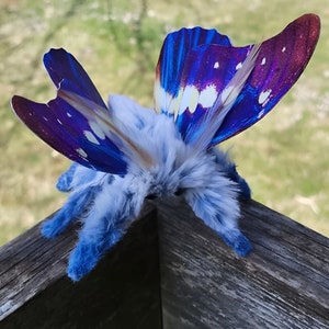 Blue Moth Faux Entomology Sculpture, Plush Figure, Insect Doll, OOAK - Etsy