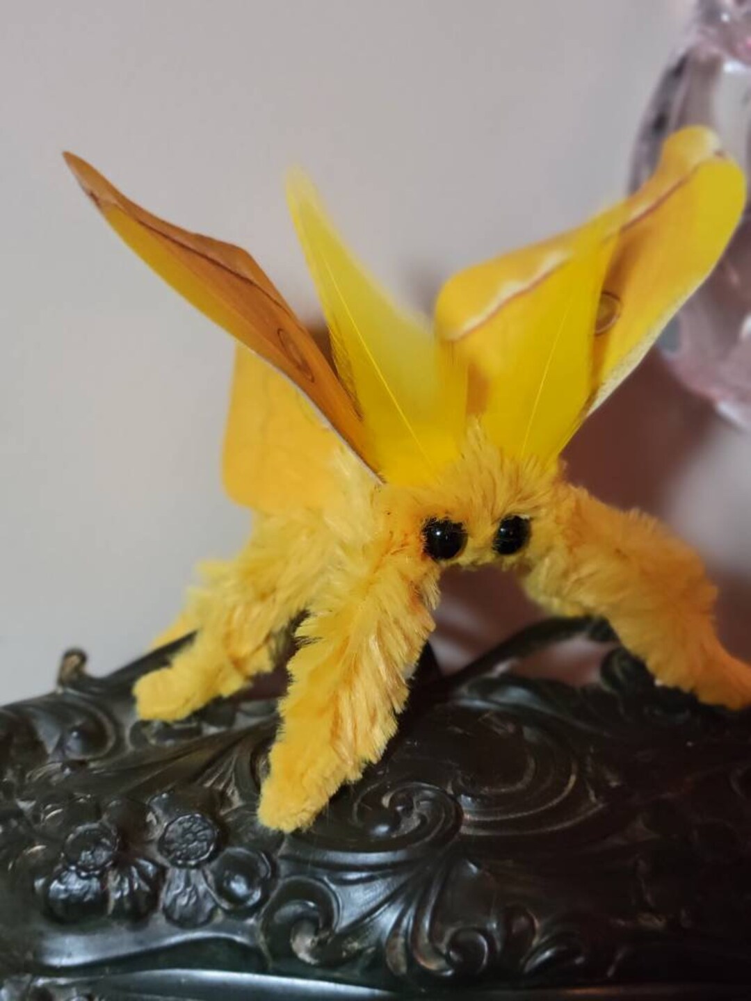 Ray of Sun Moth Soft Sculpture Ooak Textile Taxidermy Moth - Etsy