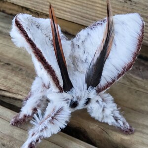 Poodle Moth Soft Sculpture, Faux Taxidermy, Plush, Textile Art, Ooak ...