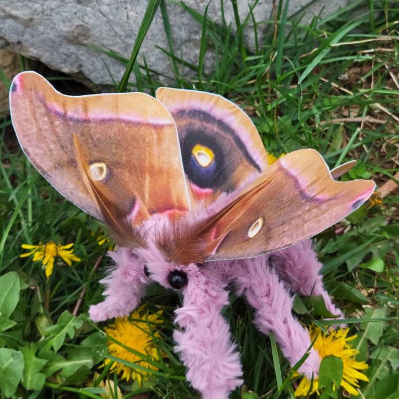 Soft Sculpture - Etsy UK