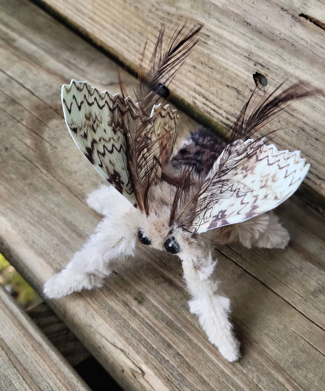 White Witch Moth Soft Sculpture Entomology Insect Art - Etsy