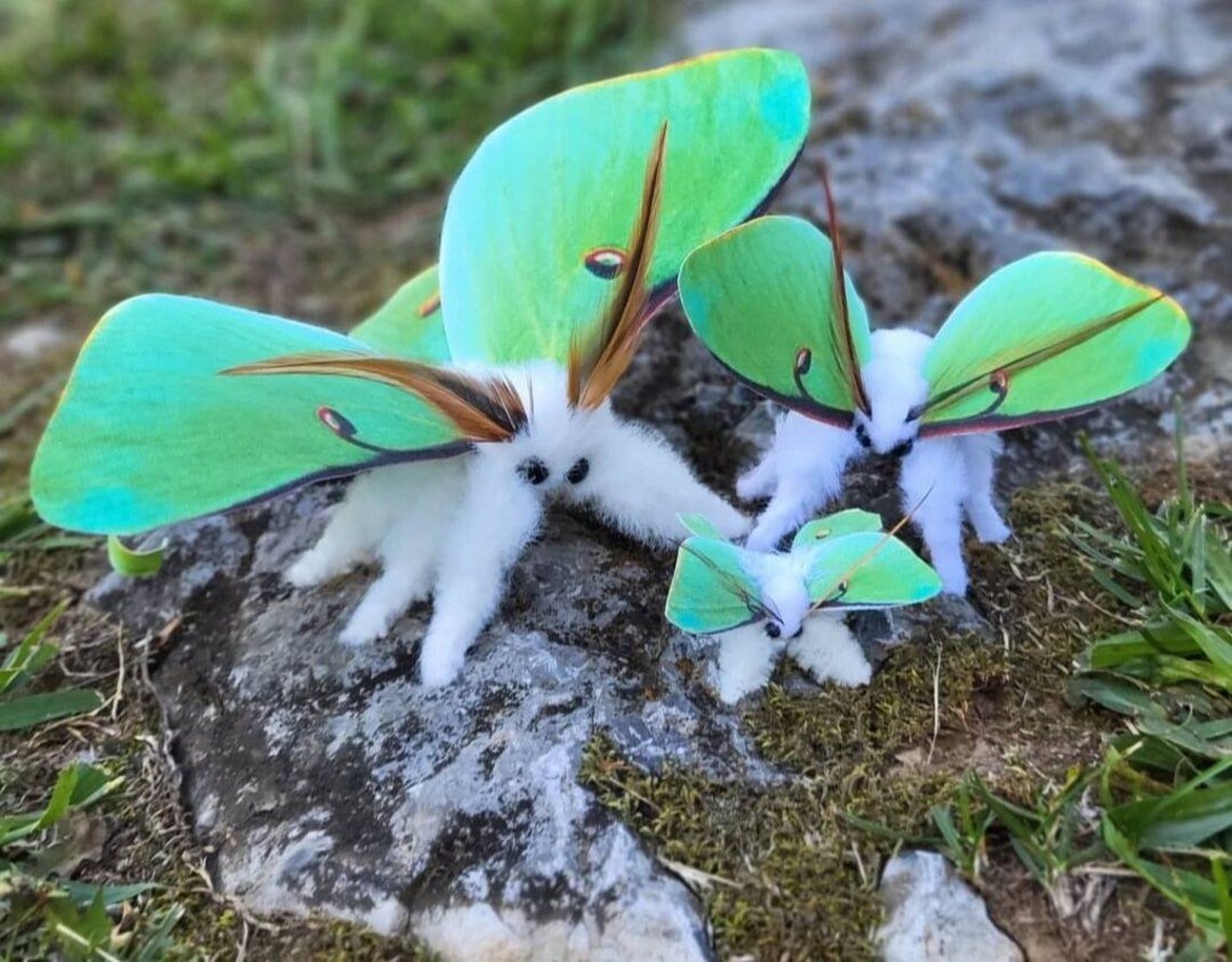 Large Luna Moth Textile Taxidermy Soft Sculpture OOAK Doll - Etsy