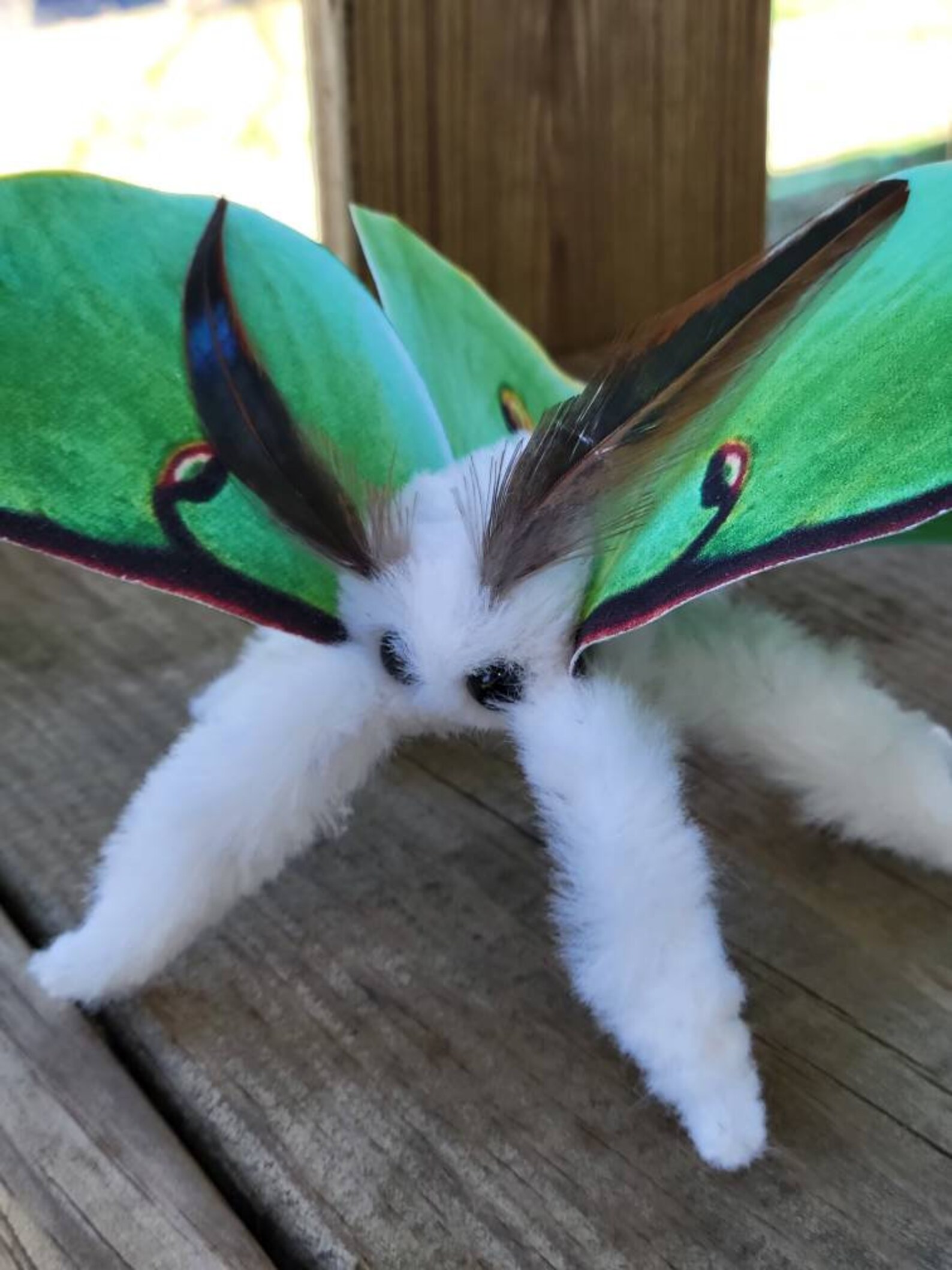 Large Luna Moth Textile Taxidermy Soft Sculpture OOAK Doll - Etsy