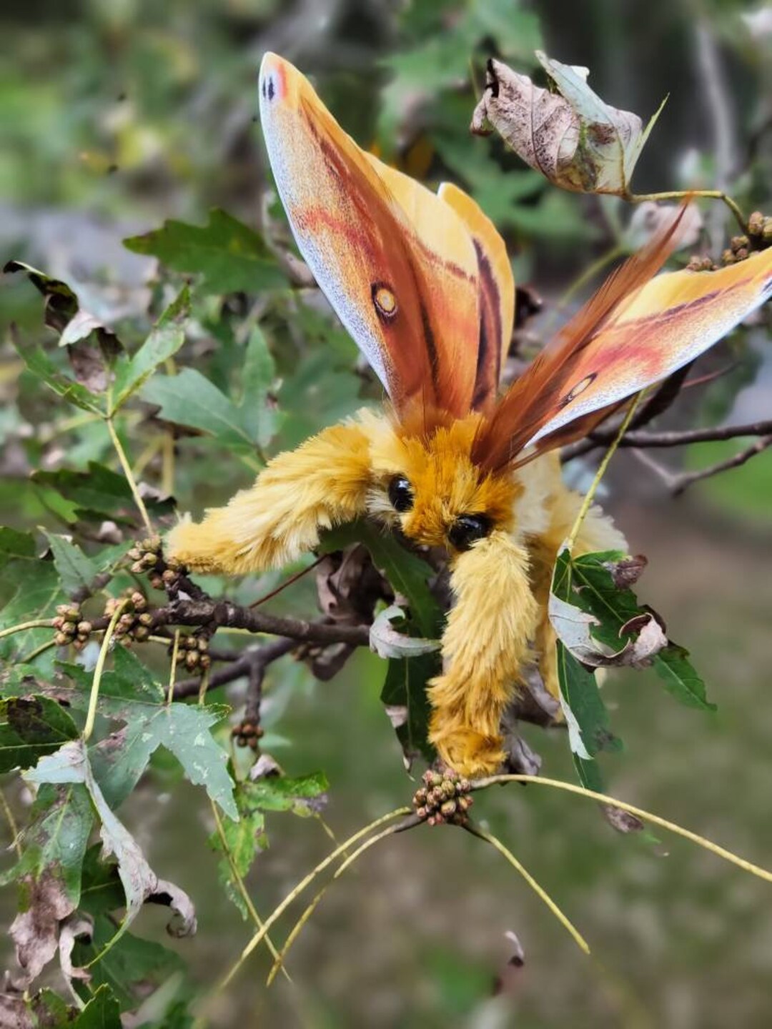 Honey Moth Butterfly Textile Sculpture Textile Art Textile - Etsy